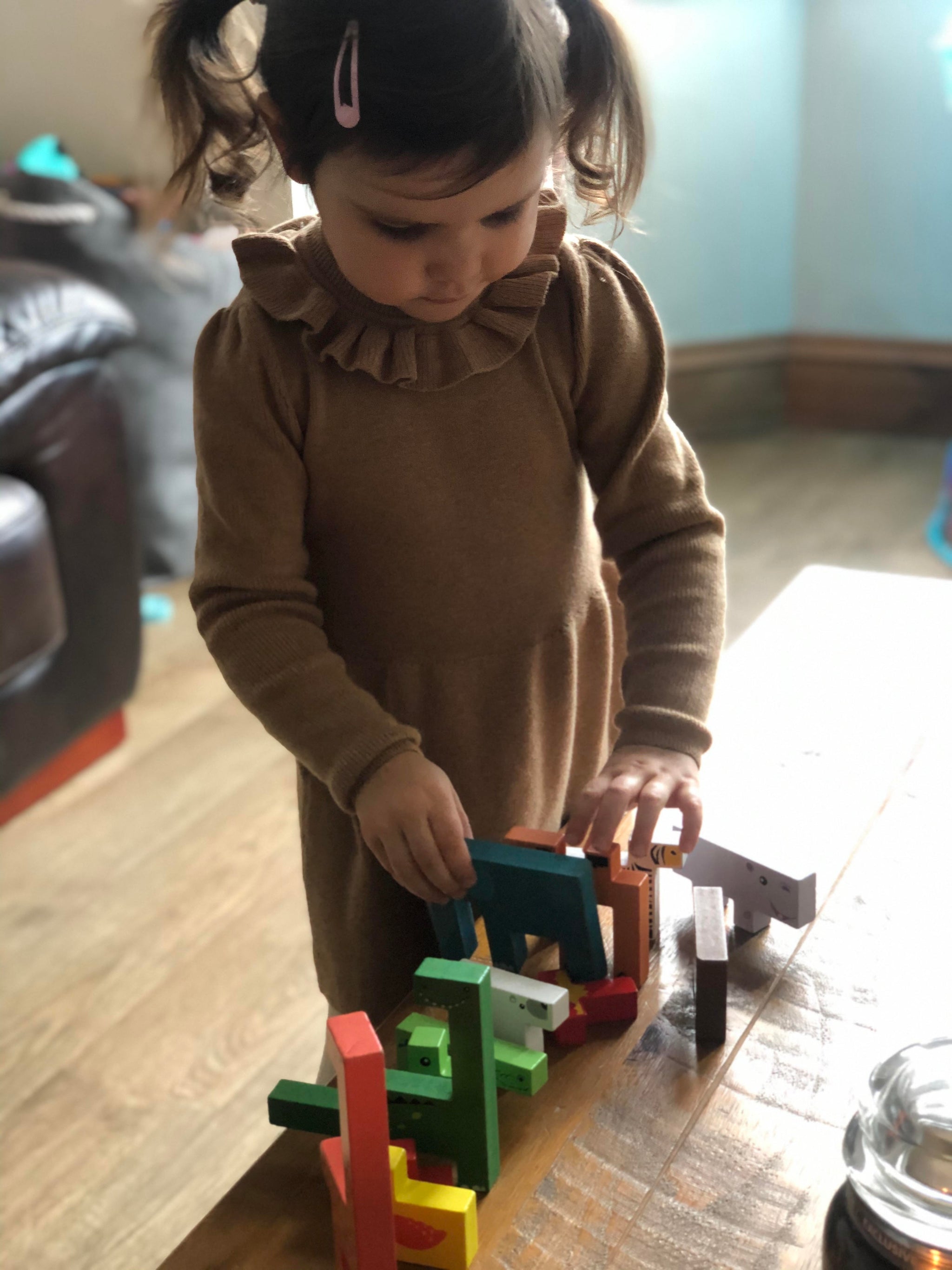 Creative Animal Building Blocks – Brainstorm Education